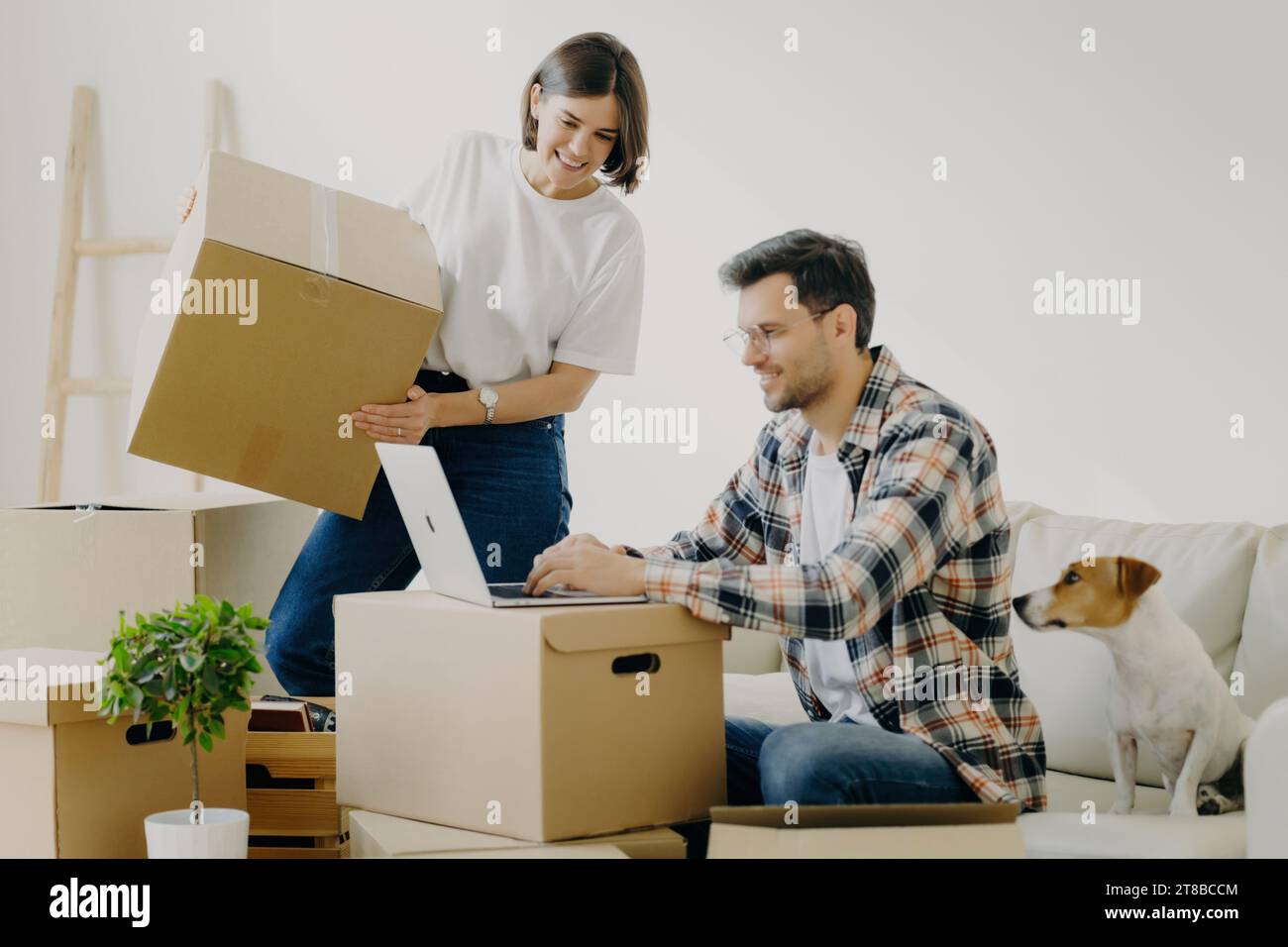 Man on laptop with woman holding a box and a dog watching, in a room ...