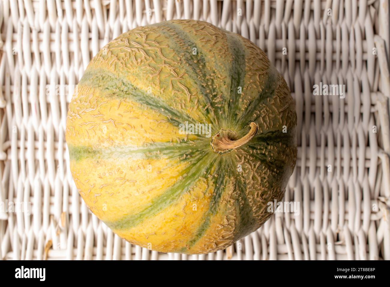 One fragrant organic melon on a vine tray, close-up, top view Stock ...