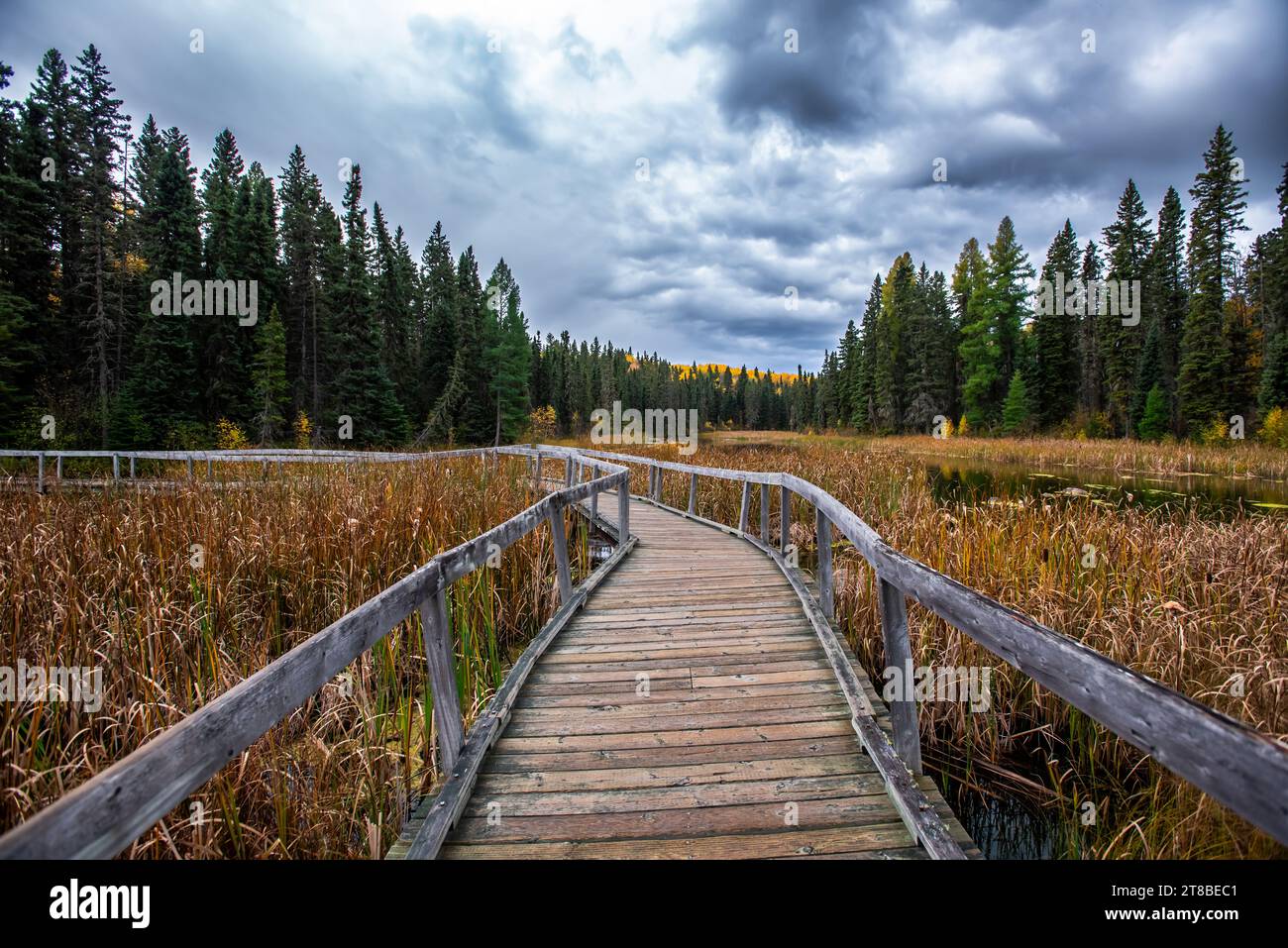 The prince albert bridge hi-res stock photography and images - Alamy