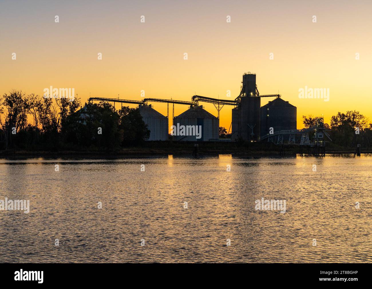 Silhouette of large grain storage bins at dawn by Mississippi River n ...