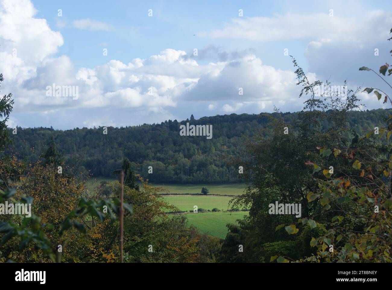 Wendover woods hi-res stock photography and images - Alamy