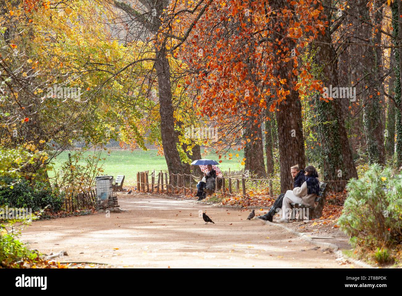Lyon france autumn hi-res stock photography and images - Alamy