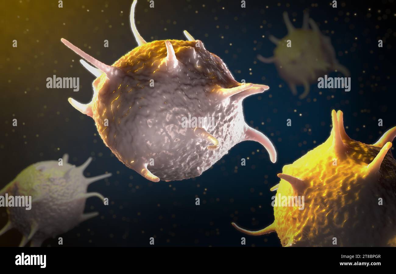 Activated platelets, also called thrombocytes responsible for the ...