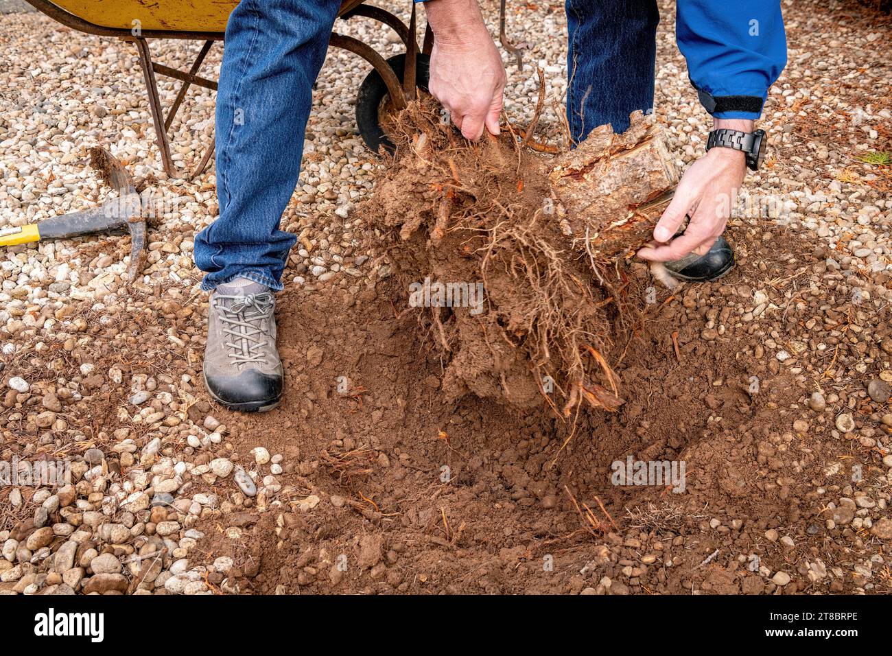 Dug hole hi-res stock photography and images - Alamy