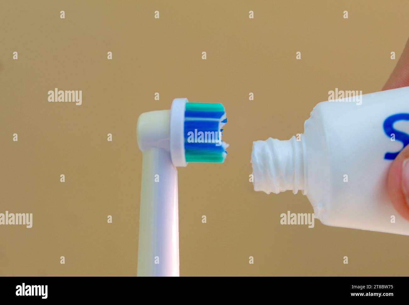A close up photo of someone putting toothpaste on the head of an ...