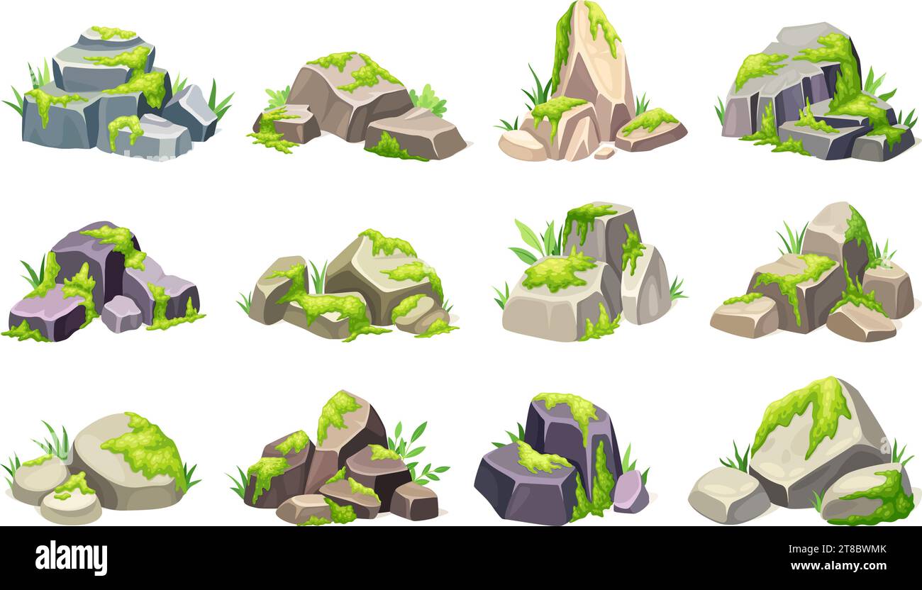 Lichens illustration hi-res stock photography and images - Alamy