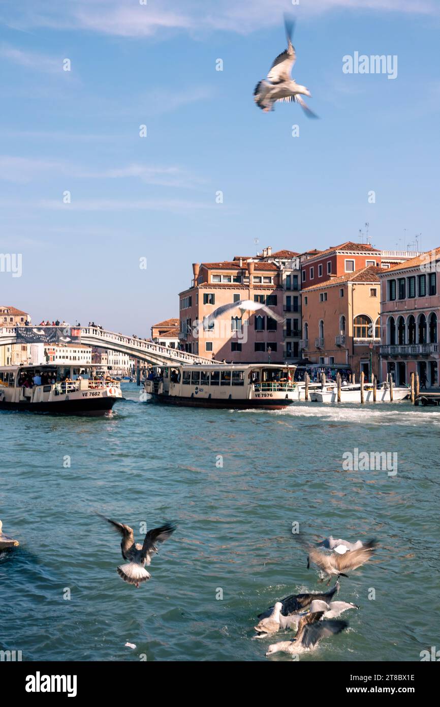 Aerial view of a picturesque cityscape of Venice, Italy, with numerous ...