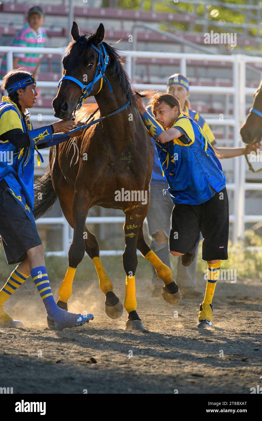 American indian horse relay hi-res stock photography and images - Alamy