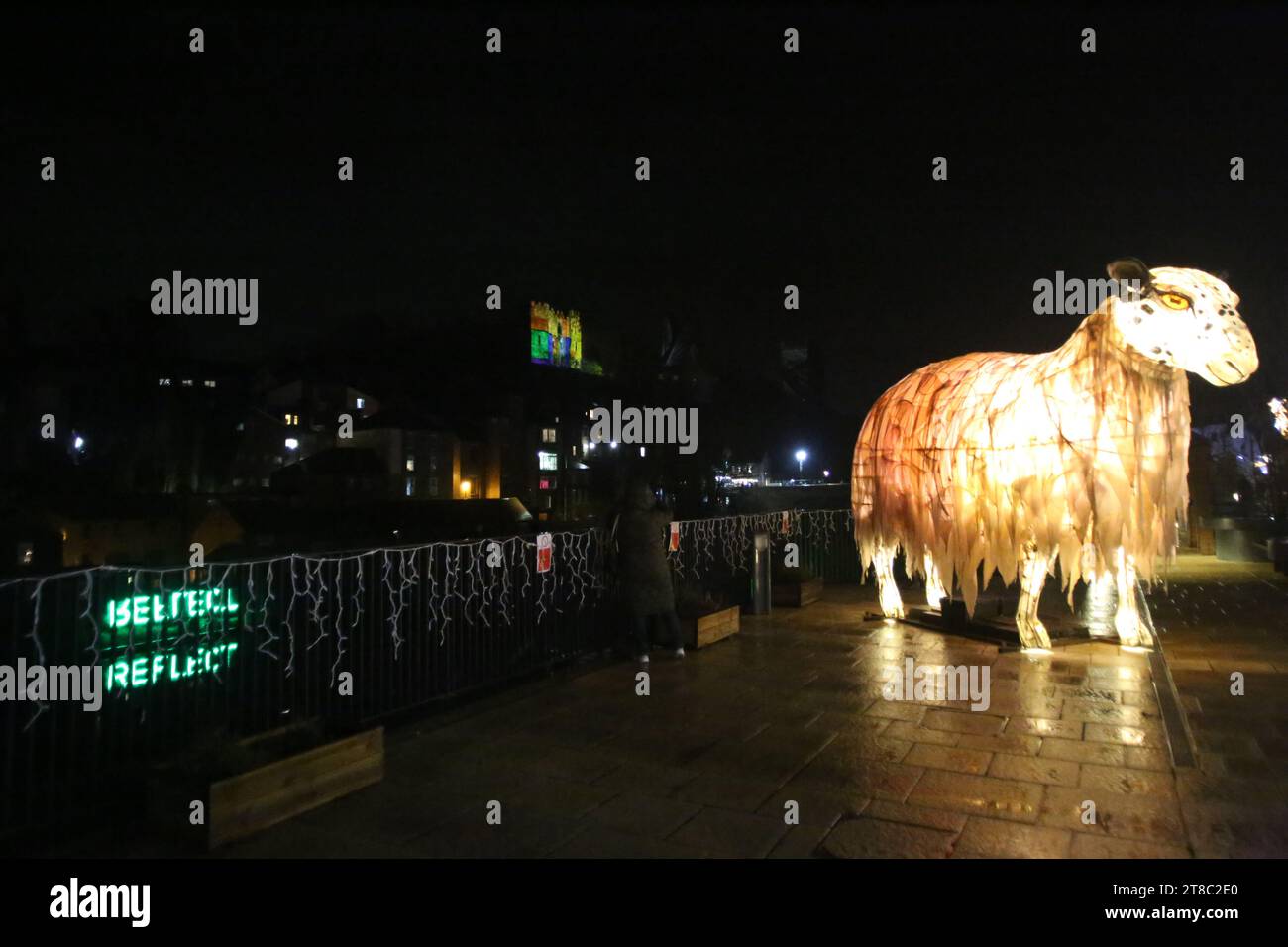 Durham City, UK, November 18th, 2023, RUMINATION, Artist Dave Young ...
