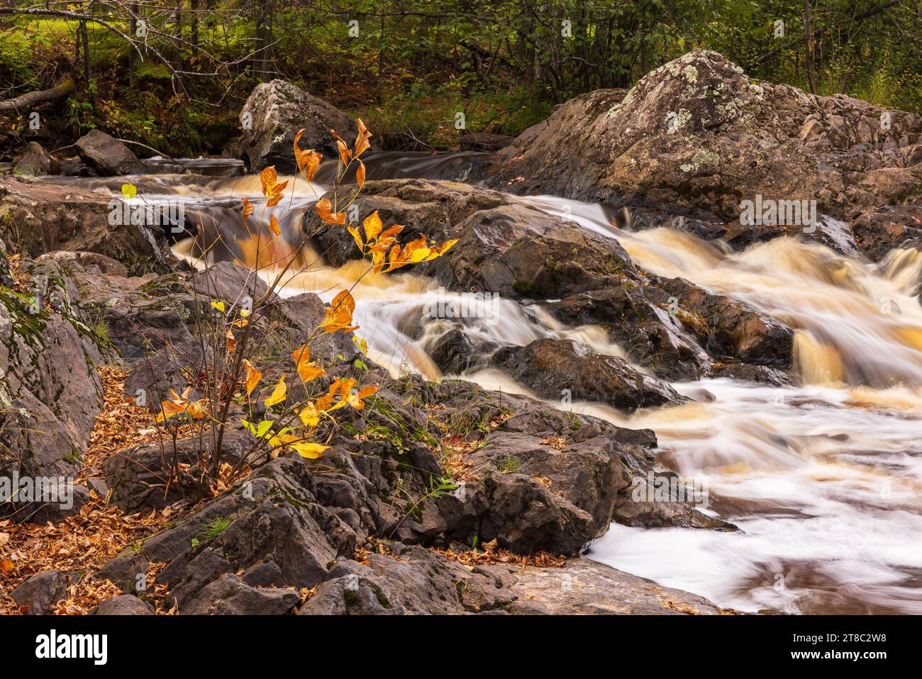 A small cascading waterfall in the woods during autumn Stock Photo - Alamy