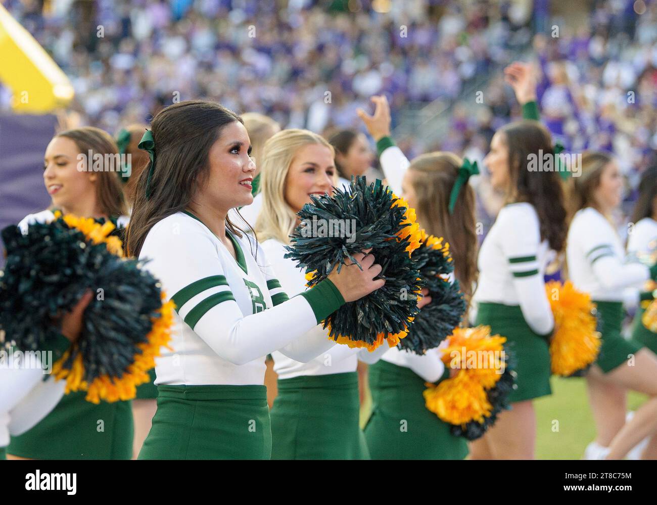 November 18 2023: Baylor Bears cheerleader during the 2nd half the NCAA ...