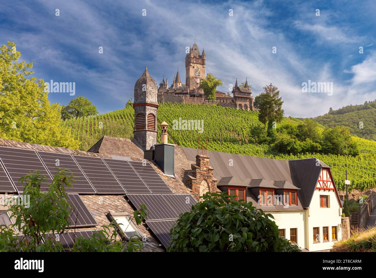 Medieval European fortress Reichsburg on a hill with vineyards on a ...