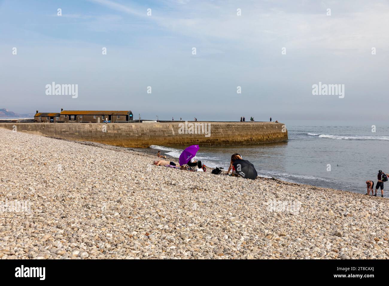 Lyme Regis Dorset Monmouth shingle beach and people on the Cobb harbour ...