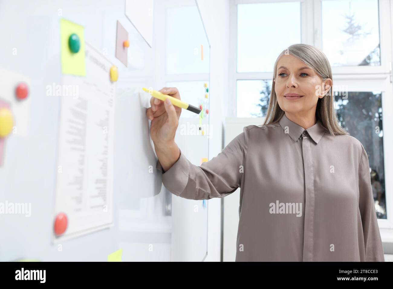 Professor explaining something with marker at whiteboard in classroom ...