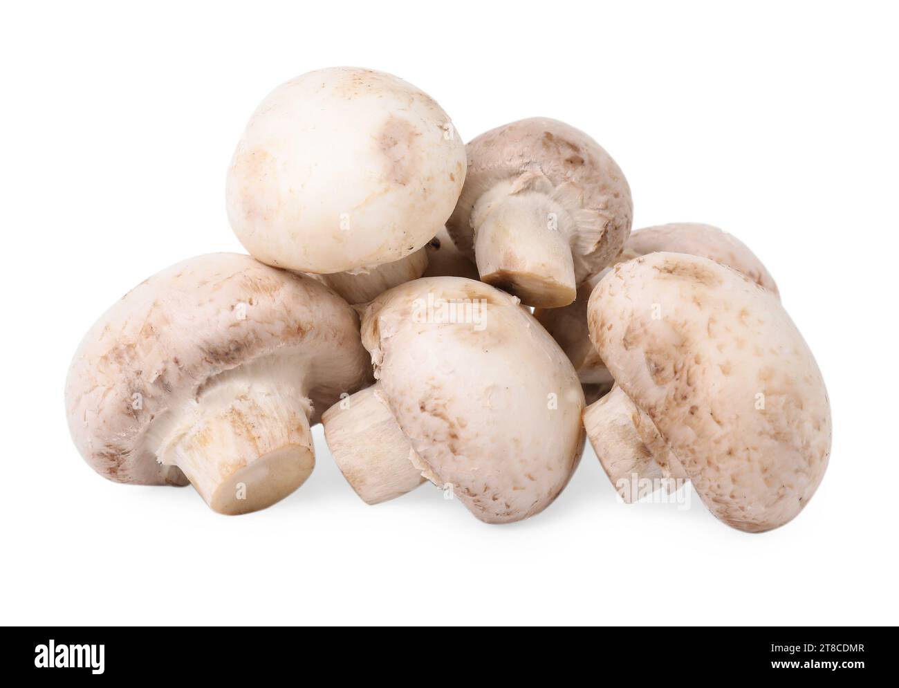 Many fresh champignon mushrooms isolated on white Stock Photo - Alamy