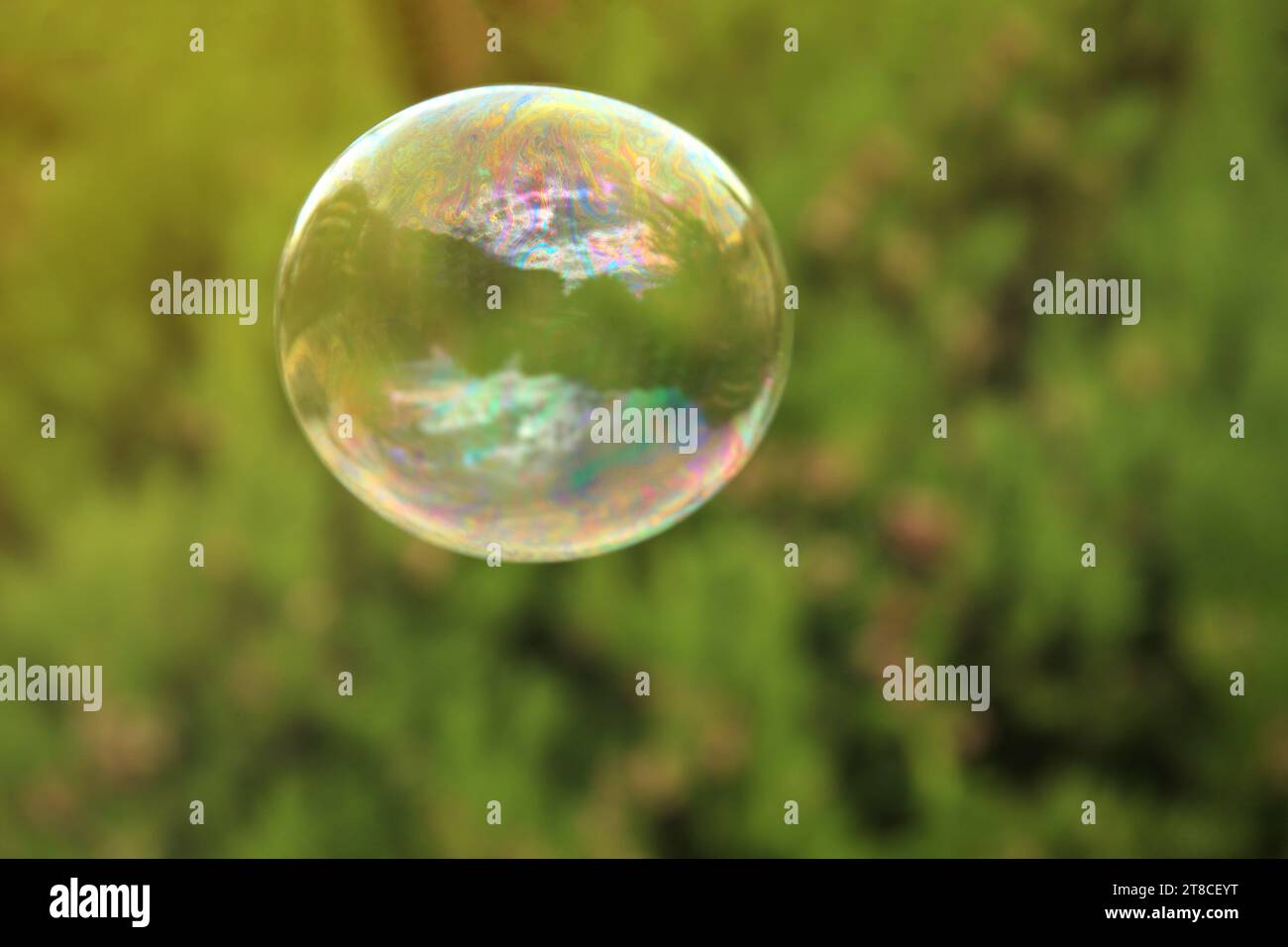 One beautiful clear soap bubble floating outdoors Stock Photo - Alamy