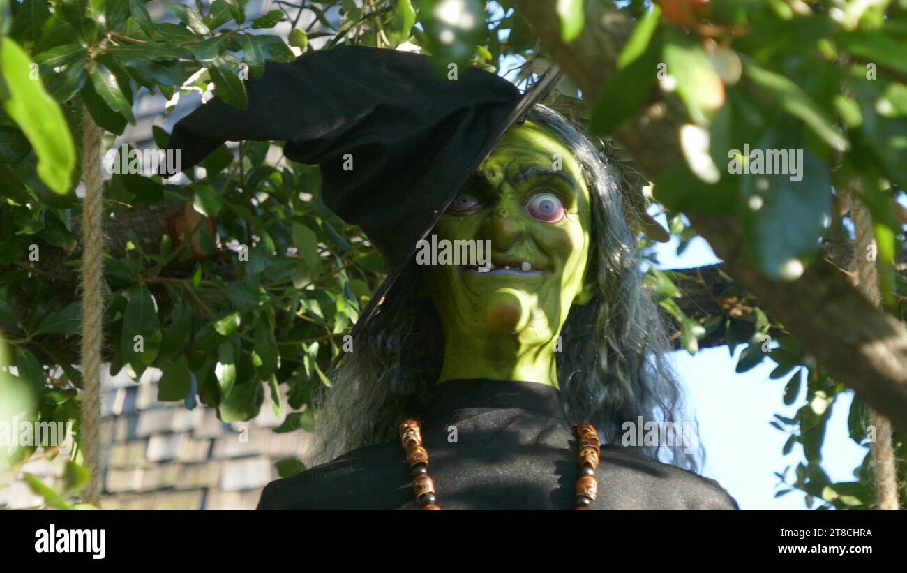 Beverly Hills, California, USA 19th November 2023 A general view of ...