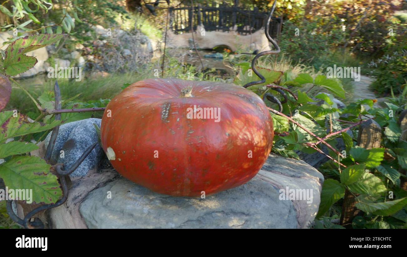 Beverly Hills, California, USA 19th November 2023 A general view of ...