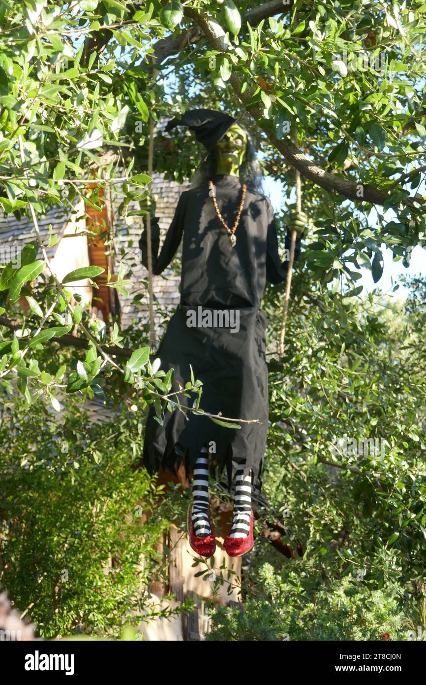 Beverly Hills, California, USA 19th November 2023 A general view of ...