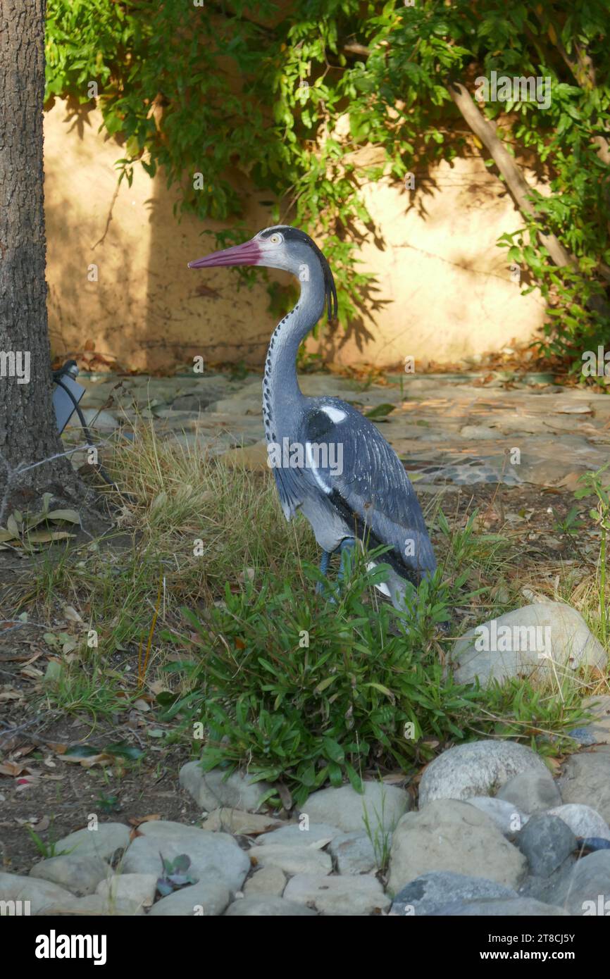 Beverly Hills, California, USA 19th November 2023 A general view of ...
