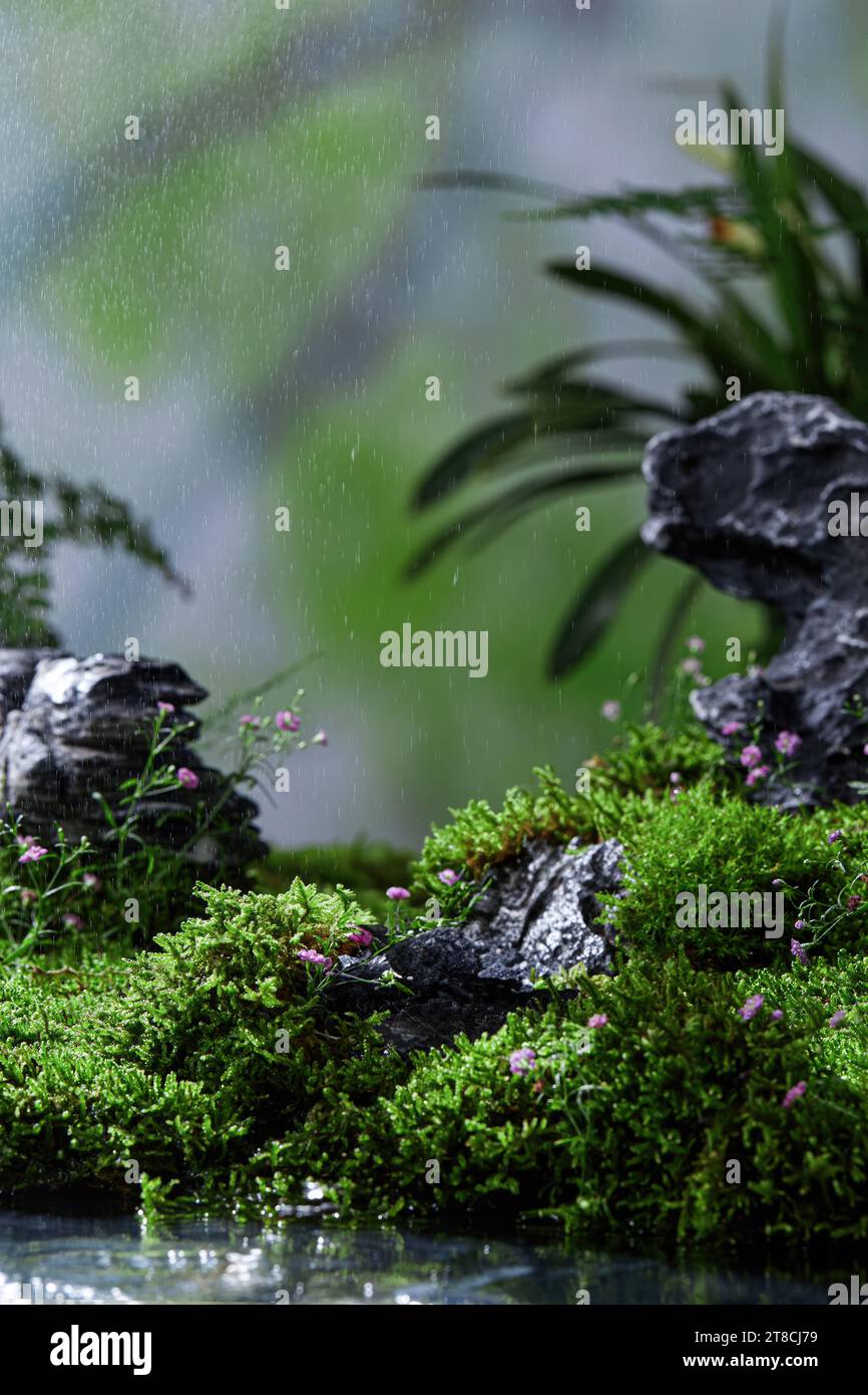 Product showcase backgrounds, Product image background, Photography ...