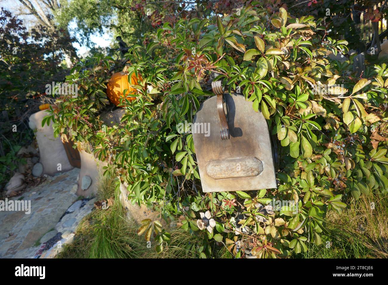 Beverly Hills, California, USA 19th November 2023 A general view of ...