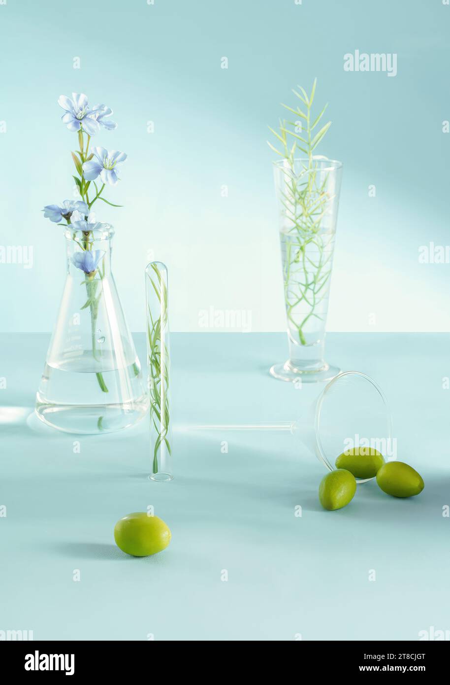 Product showcase backgrounds, Product image background, Photography ...