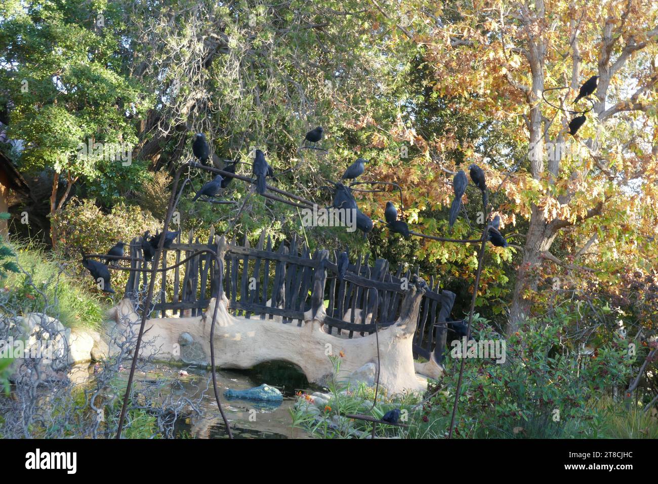 Beverly Hills, California, USA 19th November 2023 A general view of ...