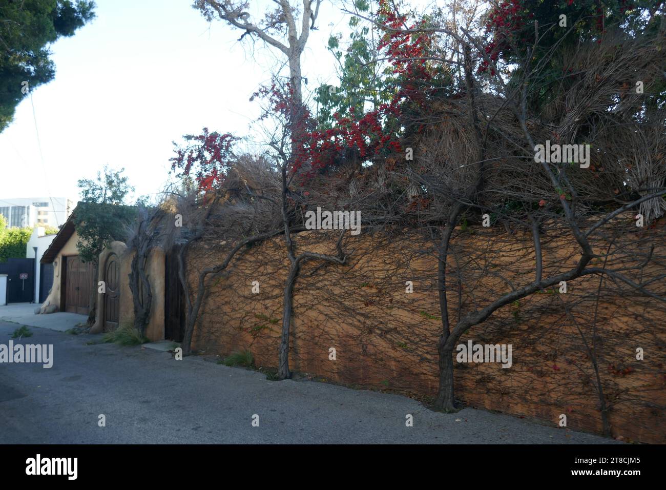 Beverly Hills, California, USA 19th November 2023 A general view of ...