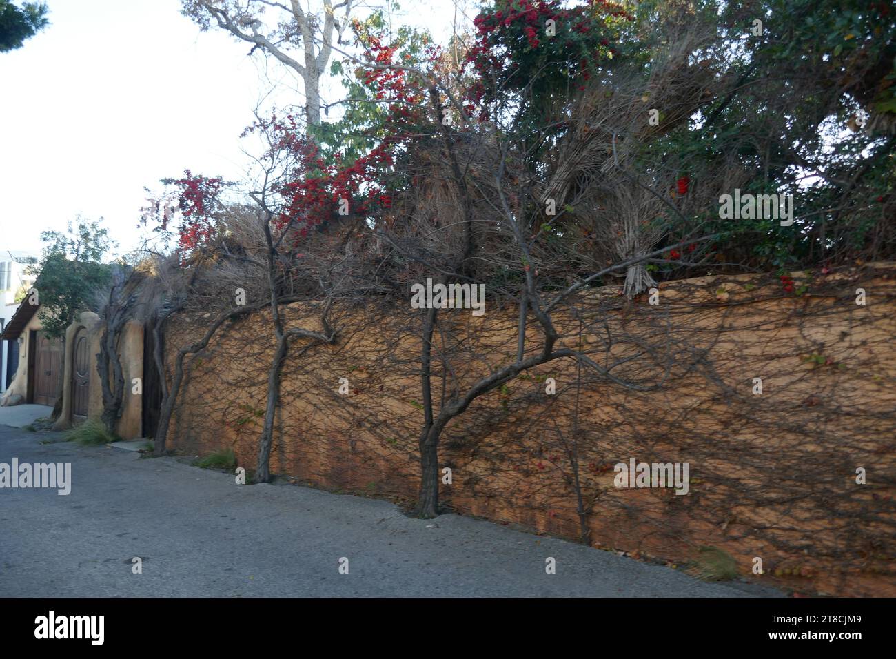 Beverly Hills, California, USA 19th November 2023 A general view of ...