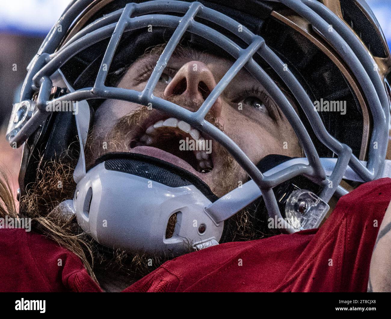 Brock purdy celebrates hi-res stock photography and images - Alamy