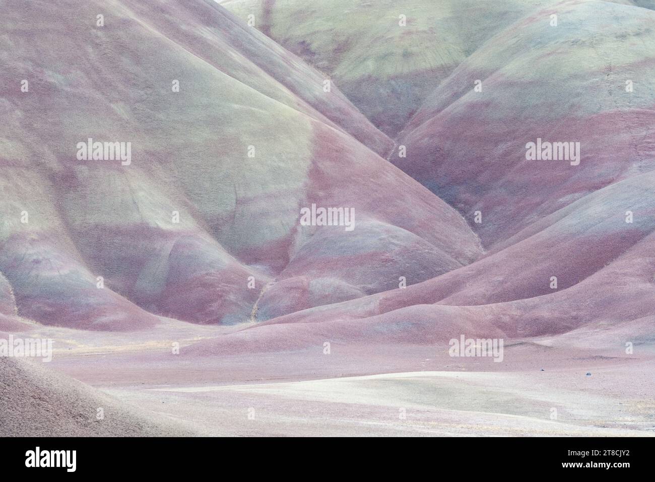 Pastel colors of Painted Hill Unit hillside at John Day National ...