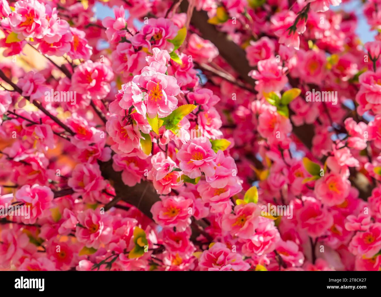 artificial peach blossoms on a branch Stock Photo - Alamy