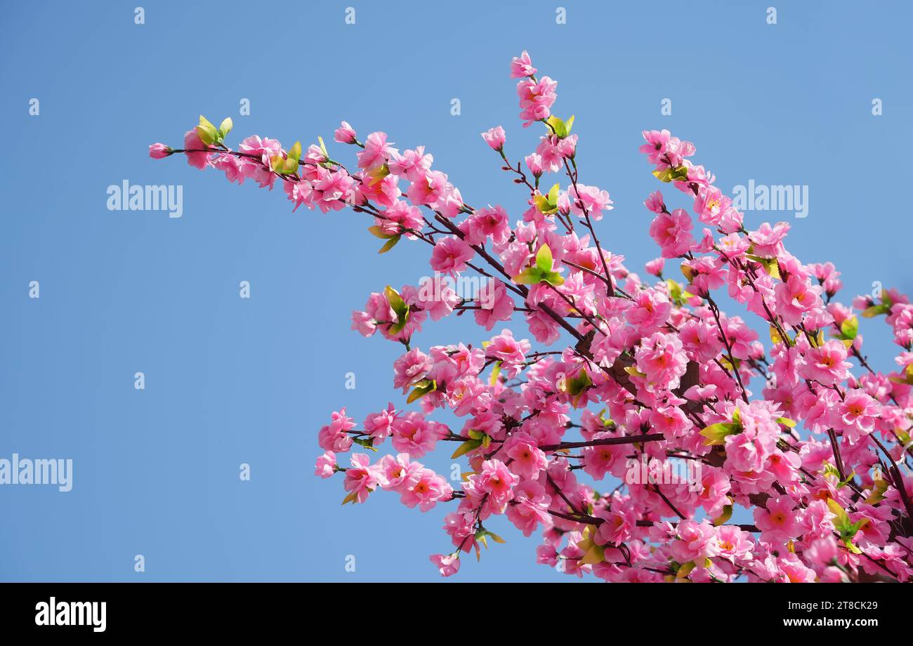 artificial peach blossoms on a branch Stock Photo - Alamy