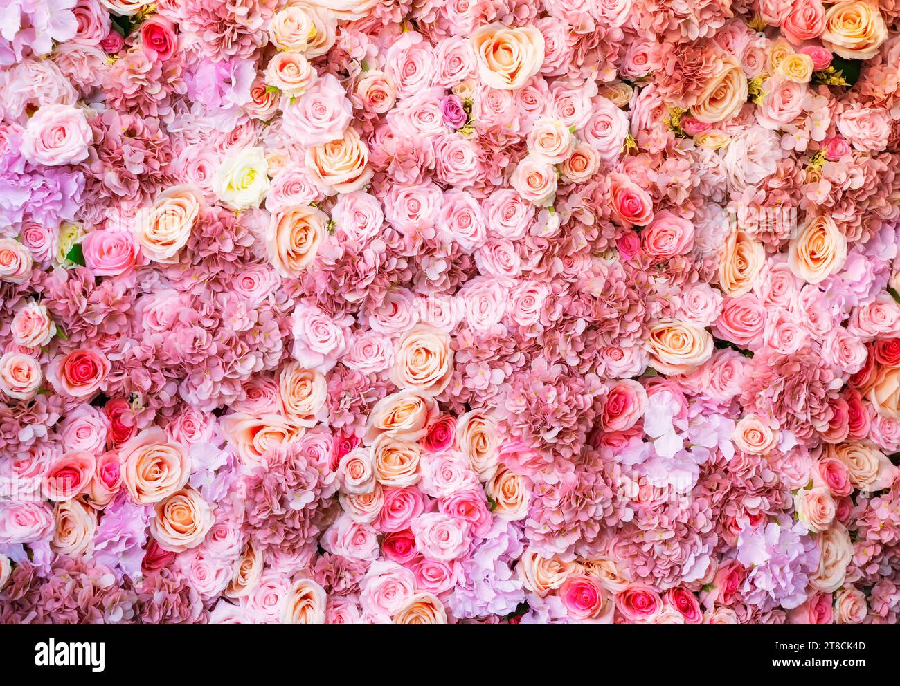Backdrop colorful artificial flowers hi-res stock photography and ...