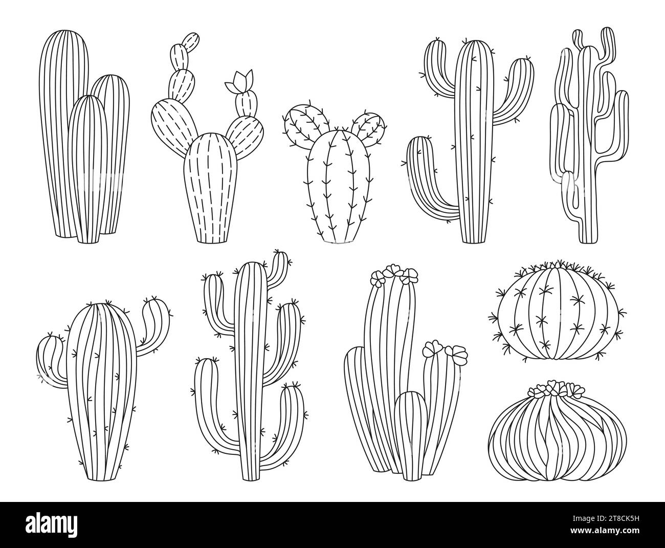 Cactus hand drawn exotic doodle set. Trendy cartoon linear succulent ...