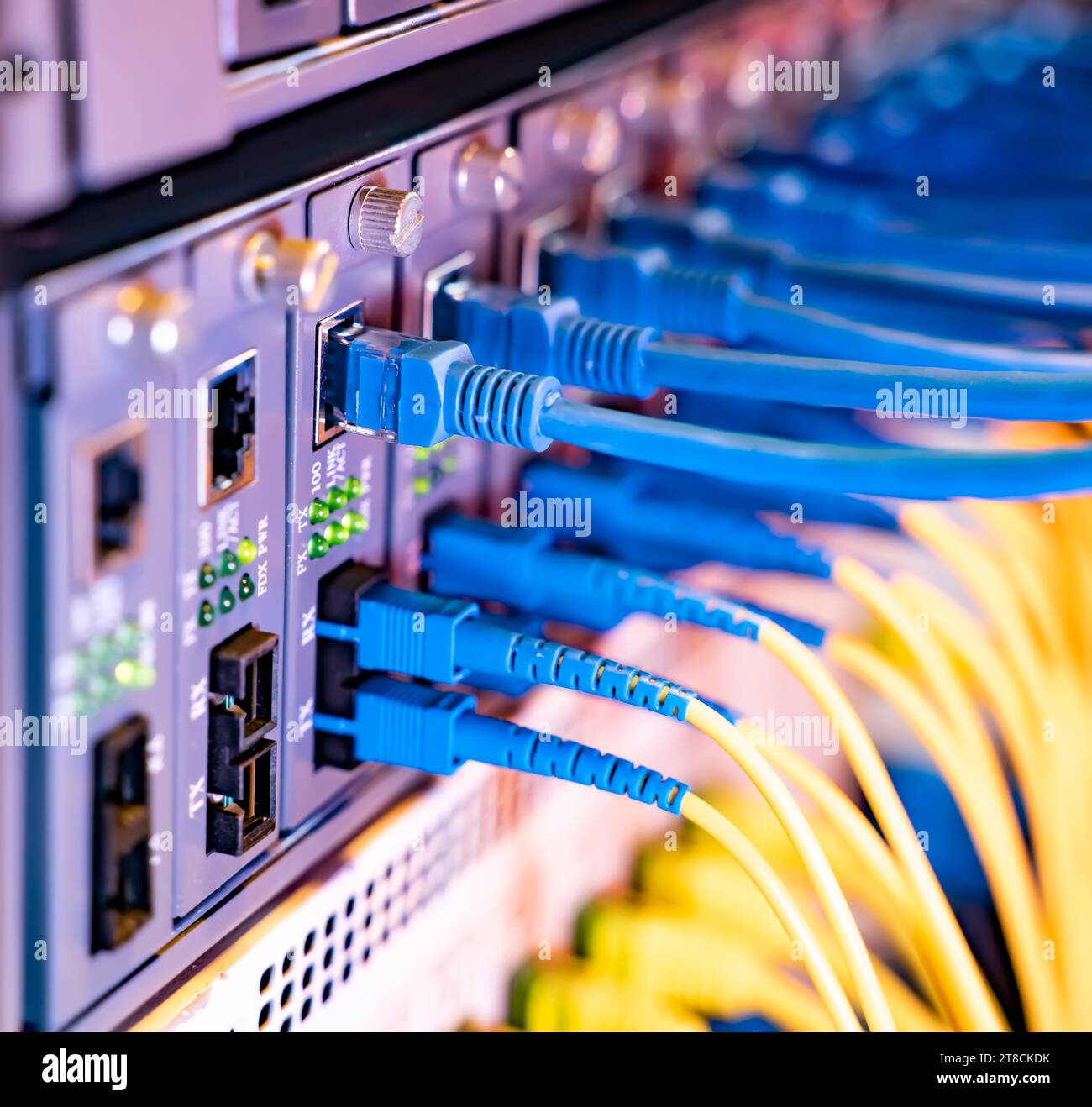 Fiber Optical cables connected to an optic ports and Network cables ...
