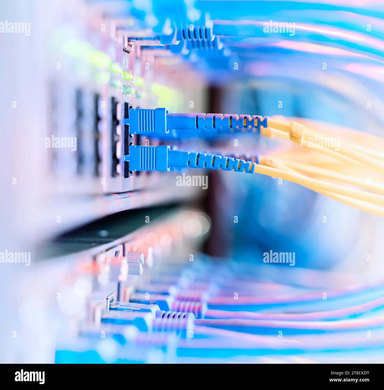 Fiber Optical cables connected to an optic ports and Network cables ...