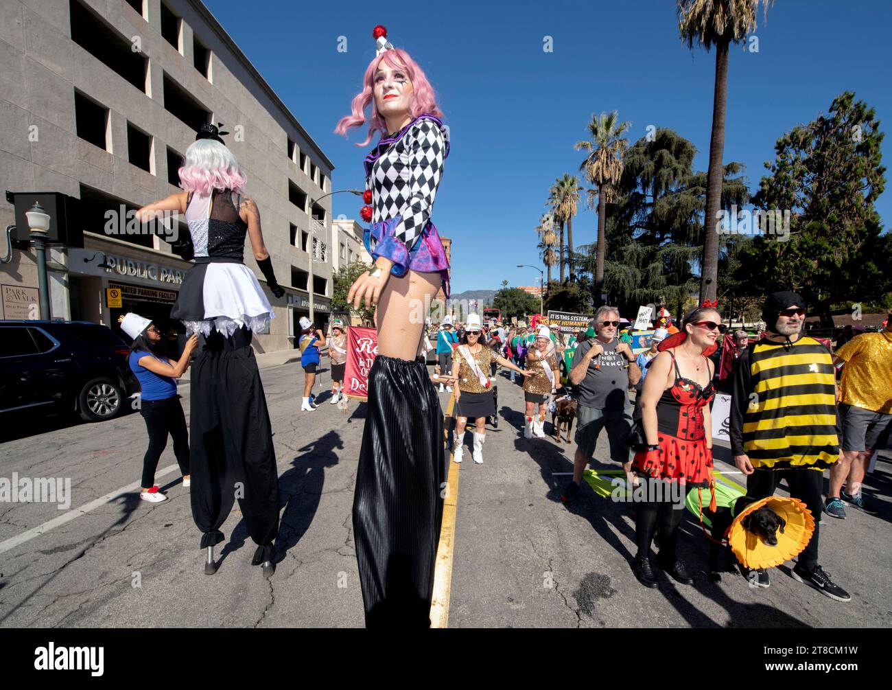 Pasadena, California, USA. 19th Nov, 2023. Sometimes referred to as the ...