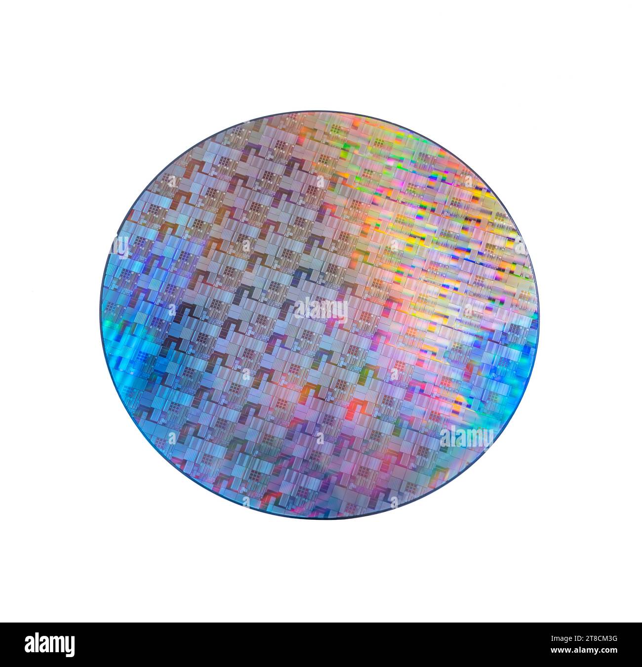 Silicon wafer with chips isolated on white background Stock Photo - Alamy