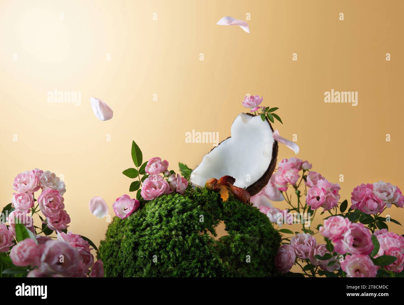 Product promotion backgrounds, Product display backdrop, Clean product ...