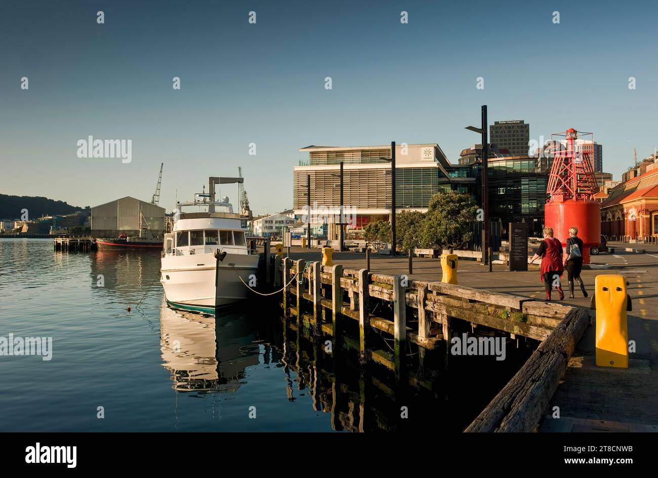 Wellington people new zealand hi-res stock photography and images - Alamy