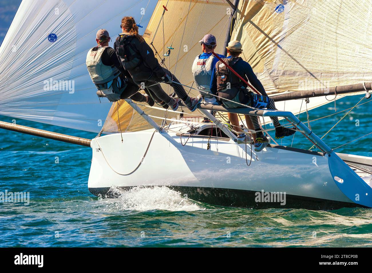 Yacht racing, Wellington Harbour, New Zealand Stock Photo - Alamy