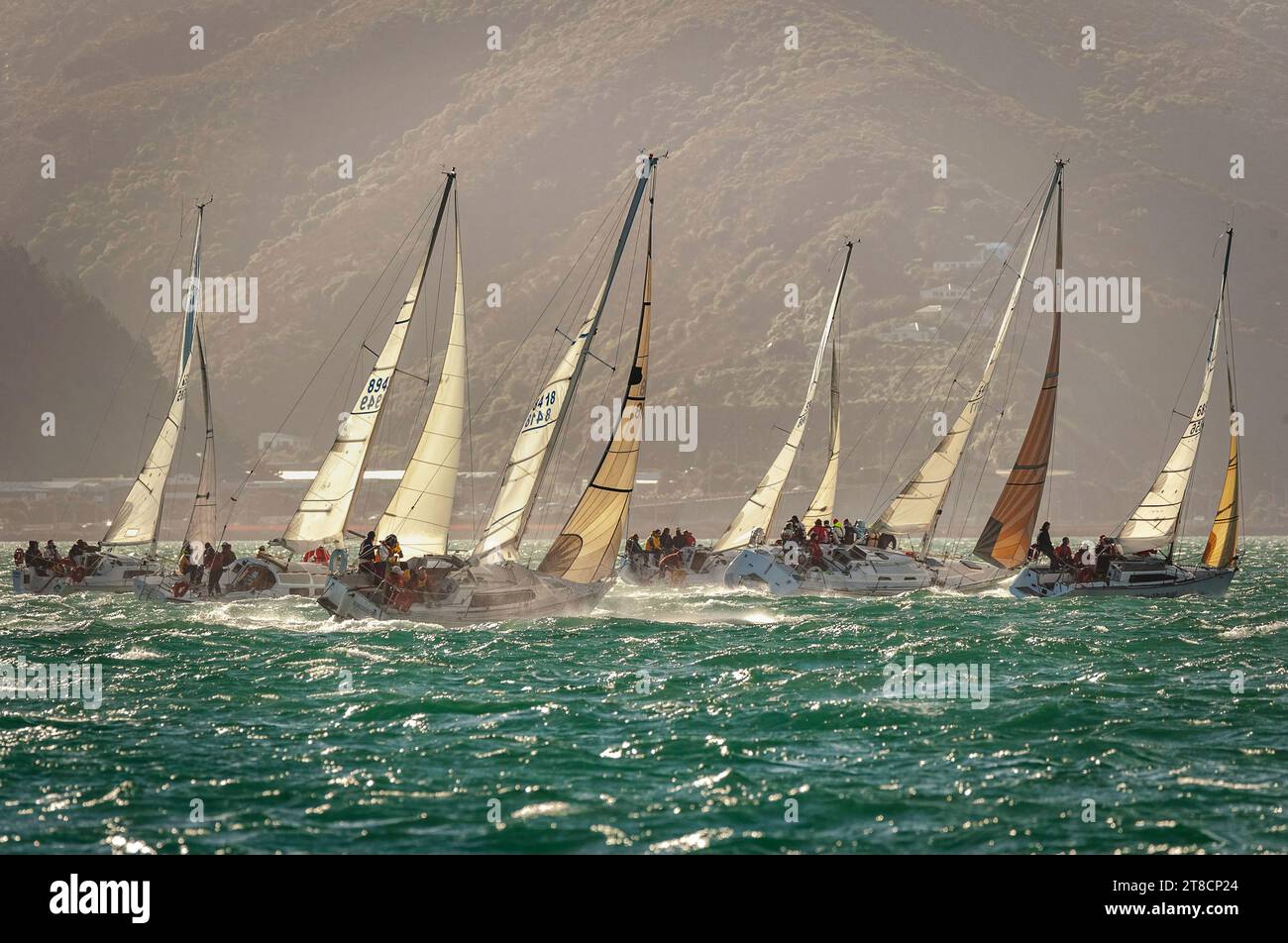 Yacht racing, Wellington Harbour, New Zealand Stock Photo - Alamy