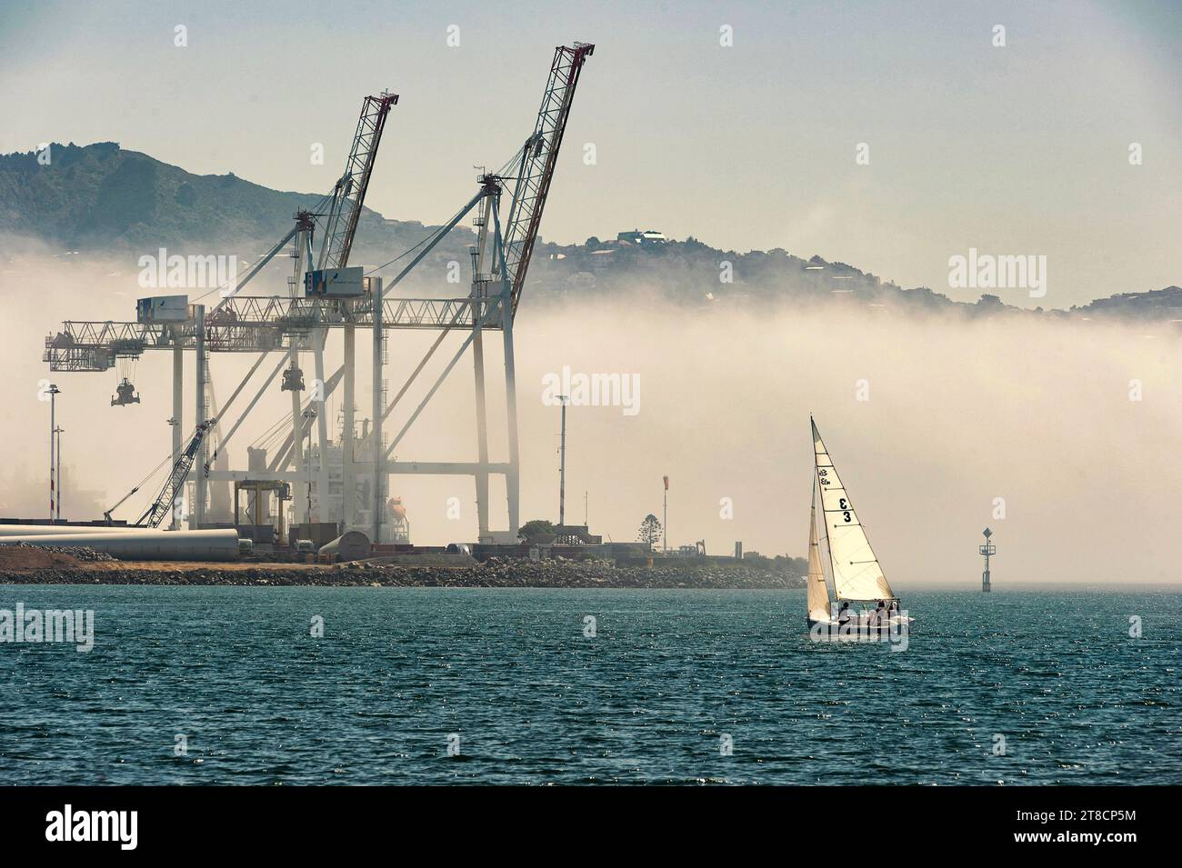 Fog in morning light, container wharf terminal, Wellington, New Zealand ...