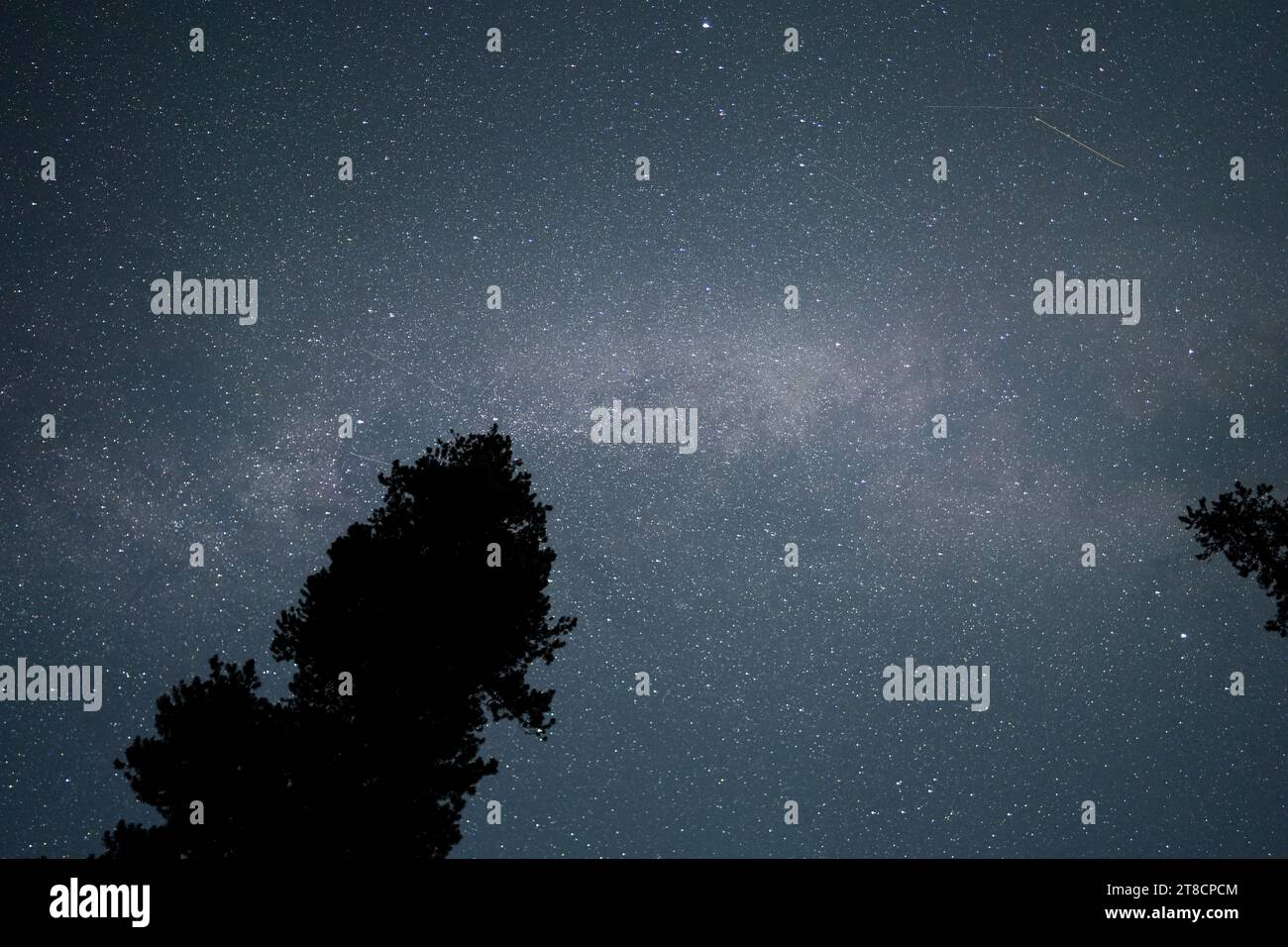 Stars at Night Stock Photo - Alamy