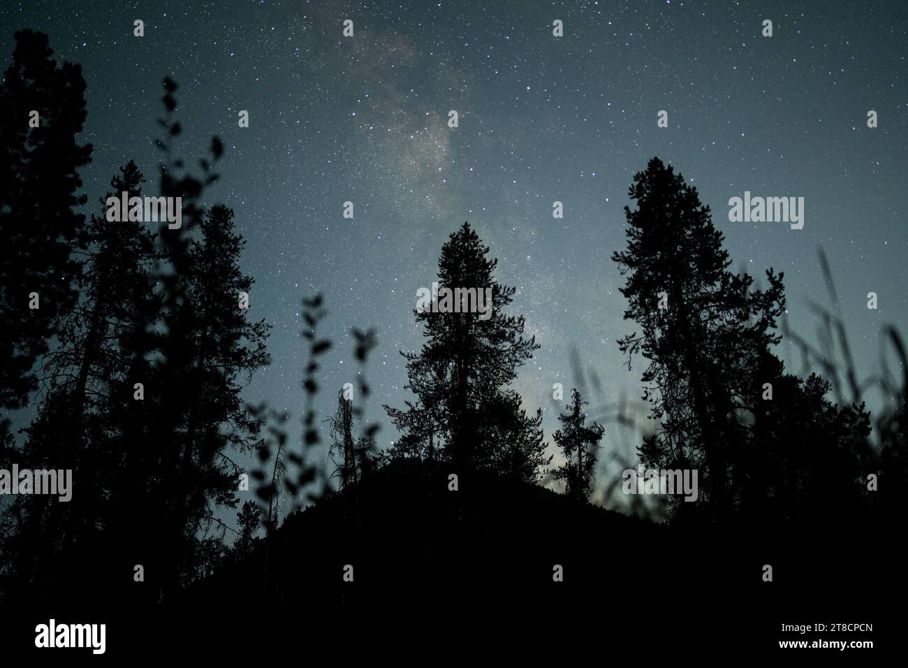Night time star photography hi-res stock photography and images - Alamy