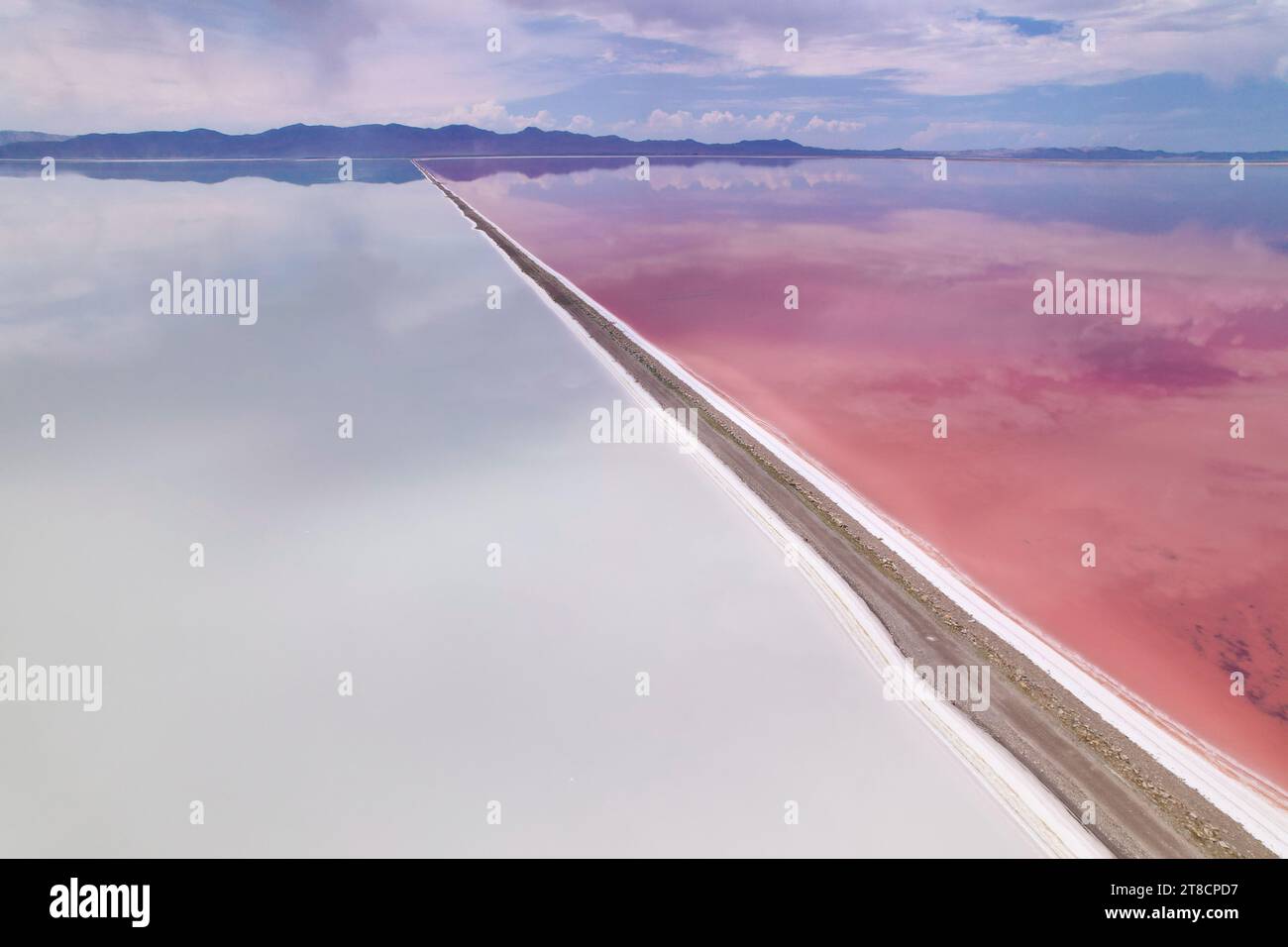 Pink Salt Lake in Utah Stock Photo - Alamy