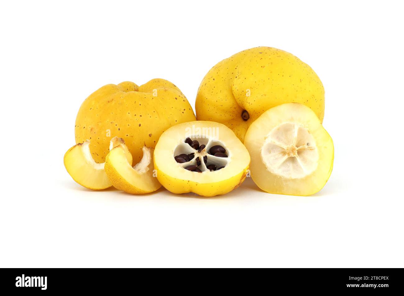 Yellow quince fruits whole and some cut in half to expose their seeds ...