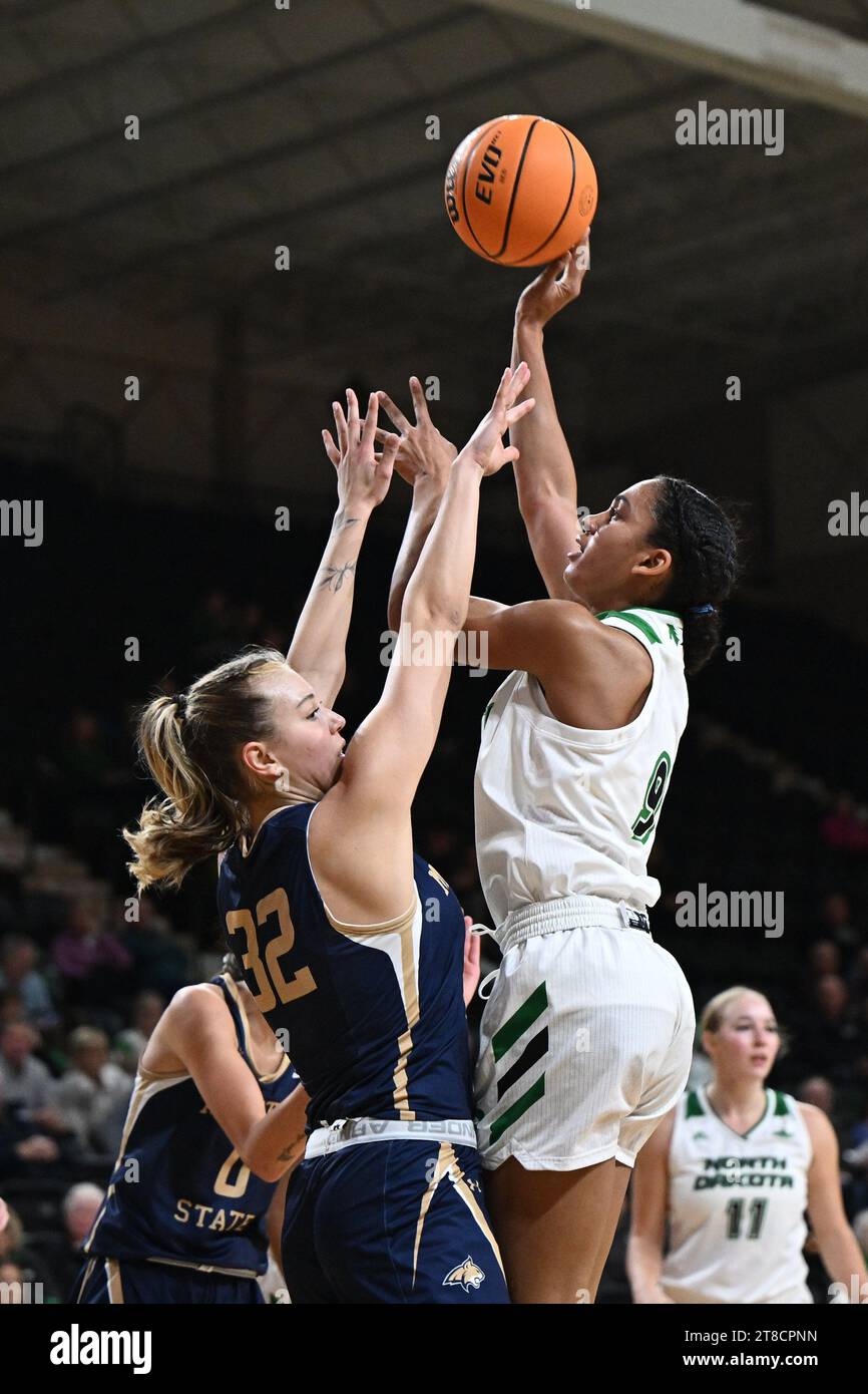 Grand Forks, USA. 19th Nov, 2023. North Dakota Fighting Hawks forward ...